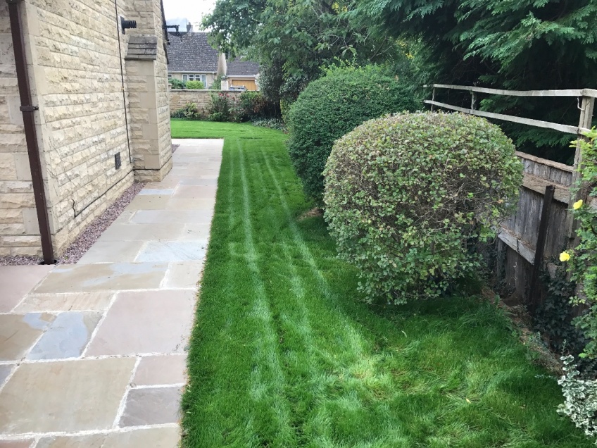 Lawn Returfing