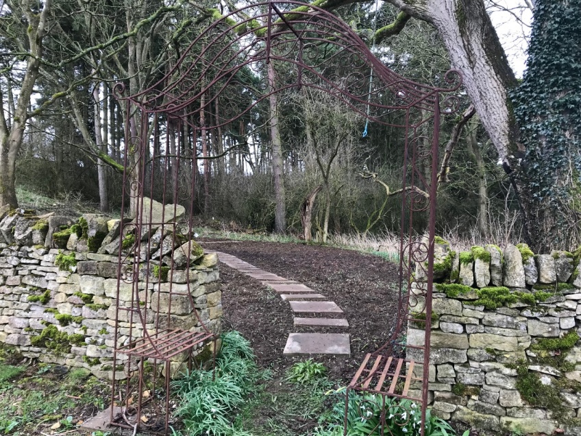 Woodland Clearing & Path Woodland Clearing & Path