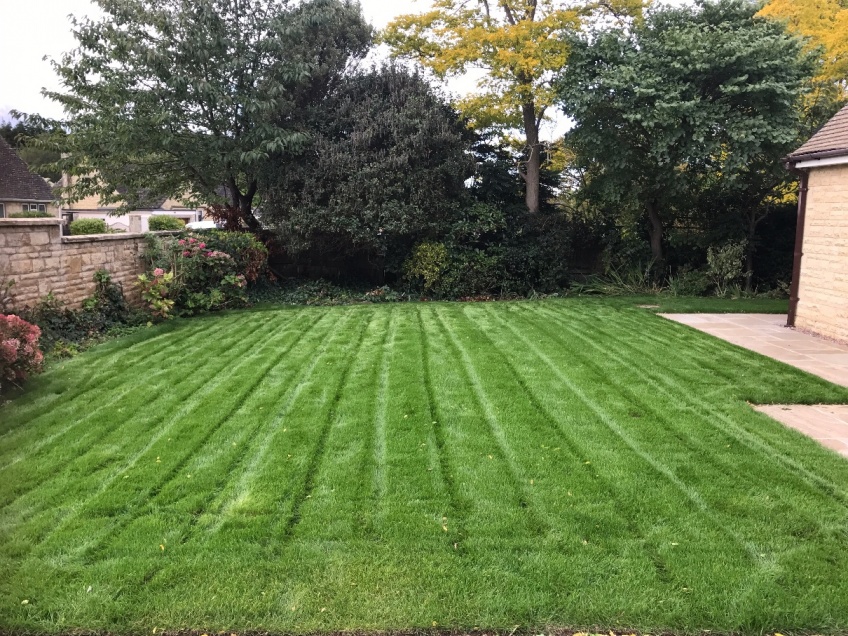 Lawn Returfing